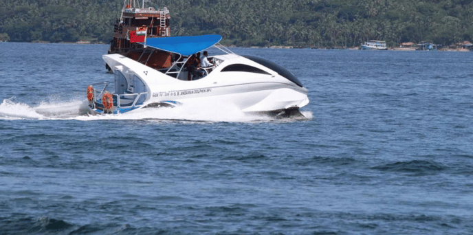 Best Offers on Dolphin Boat Ride in Andaman | 10% OFF - Sea Water Sports